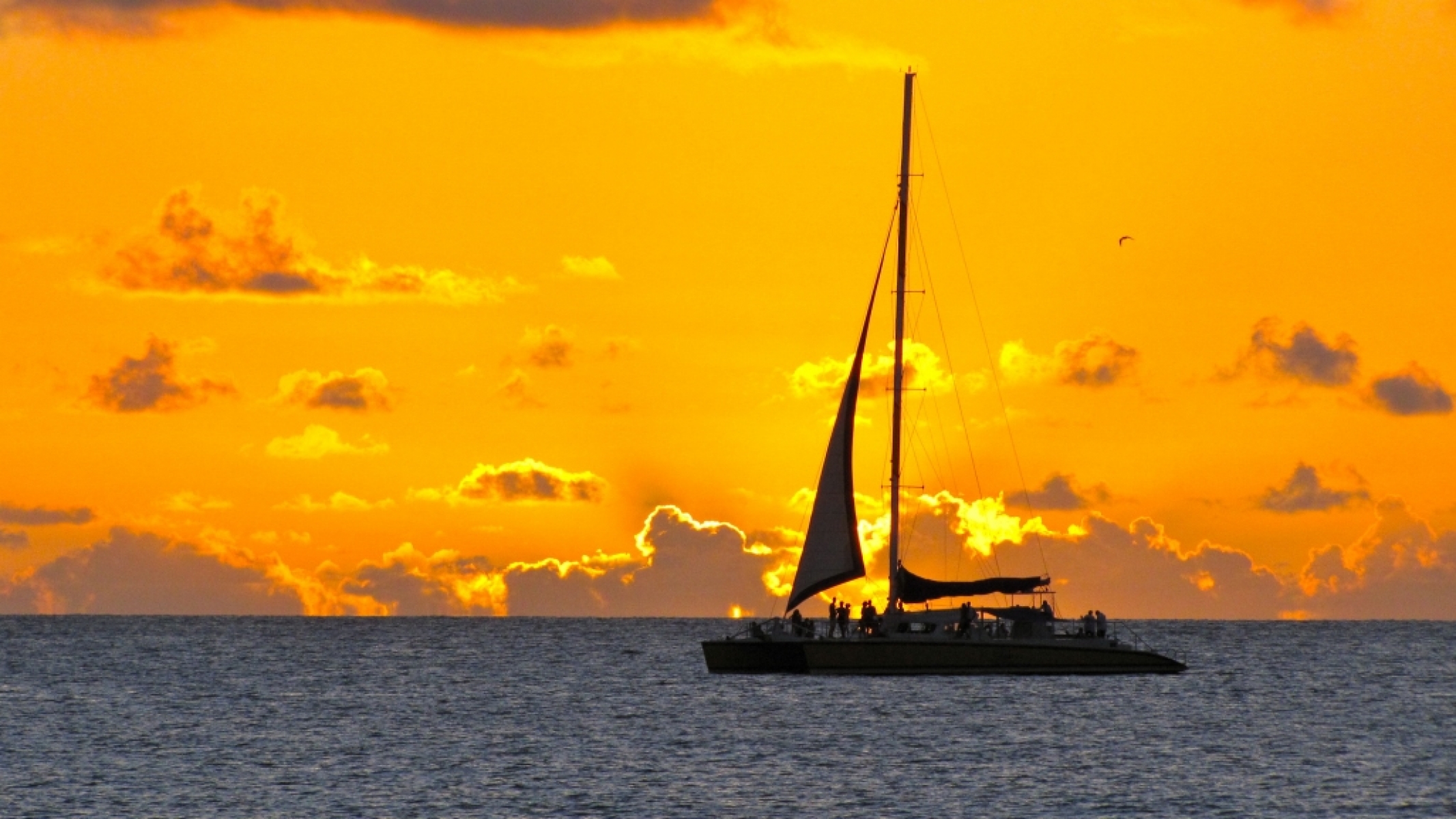 Catamaran Sunset Cruise